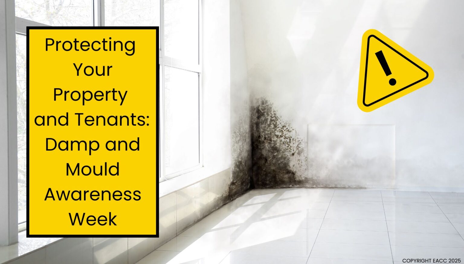 Mould Awareness Week - Southampton