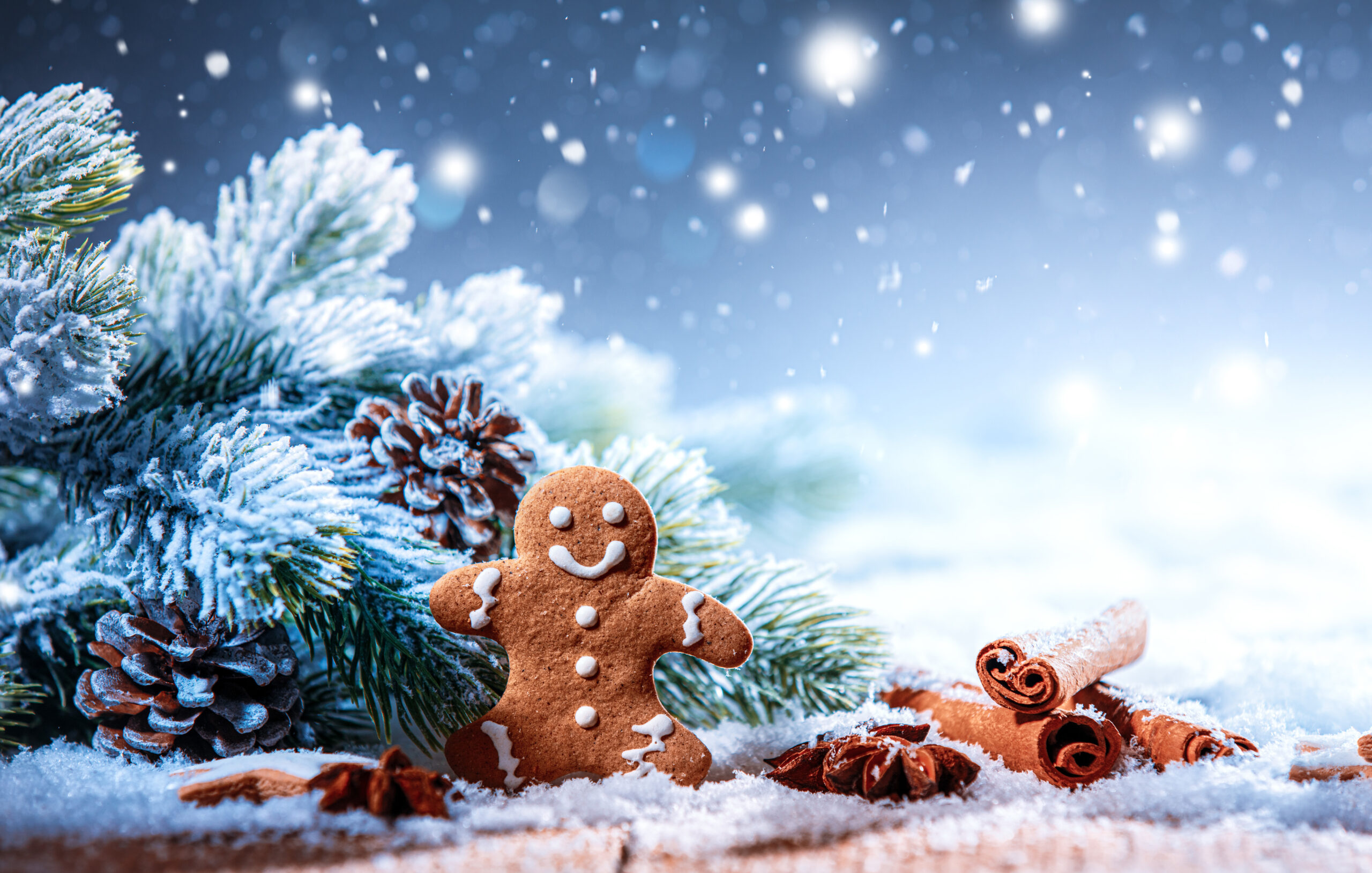 How to Create Your Own White Christmas | Belvoir!